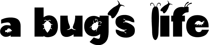 a bug's life font