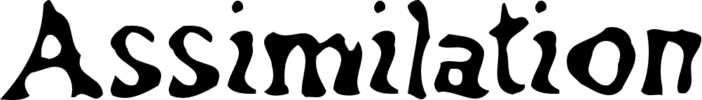 Assimilation fuente